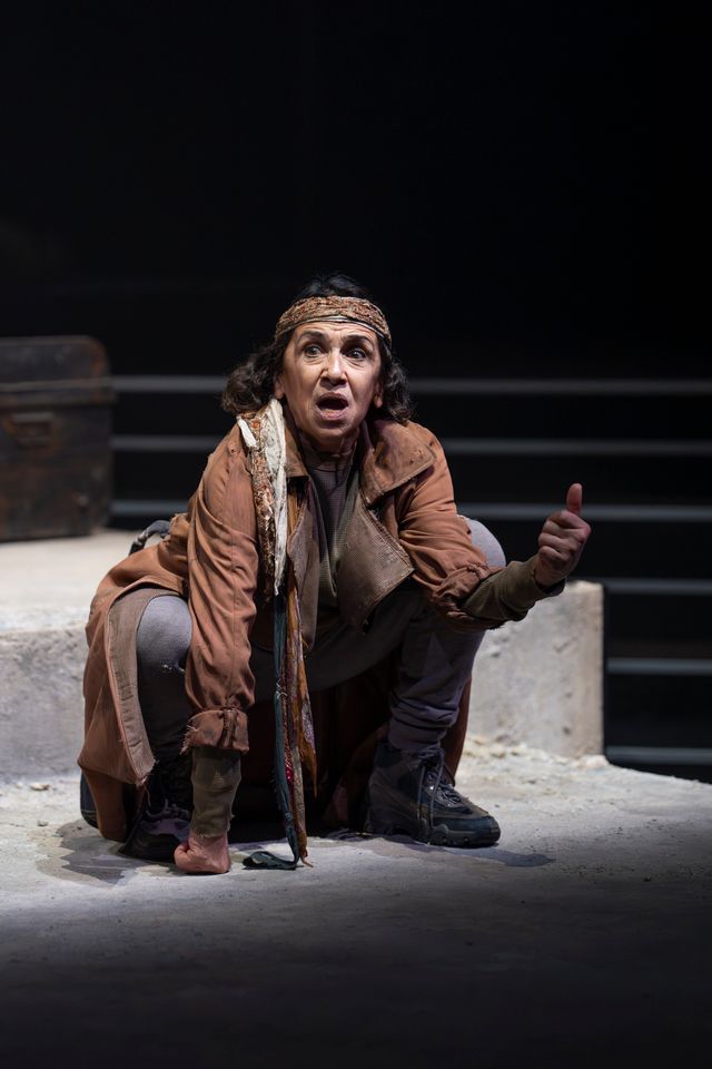 Bengal Tiger at the Baghdad Zoo | Tom Bolton